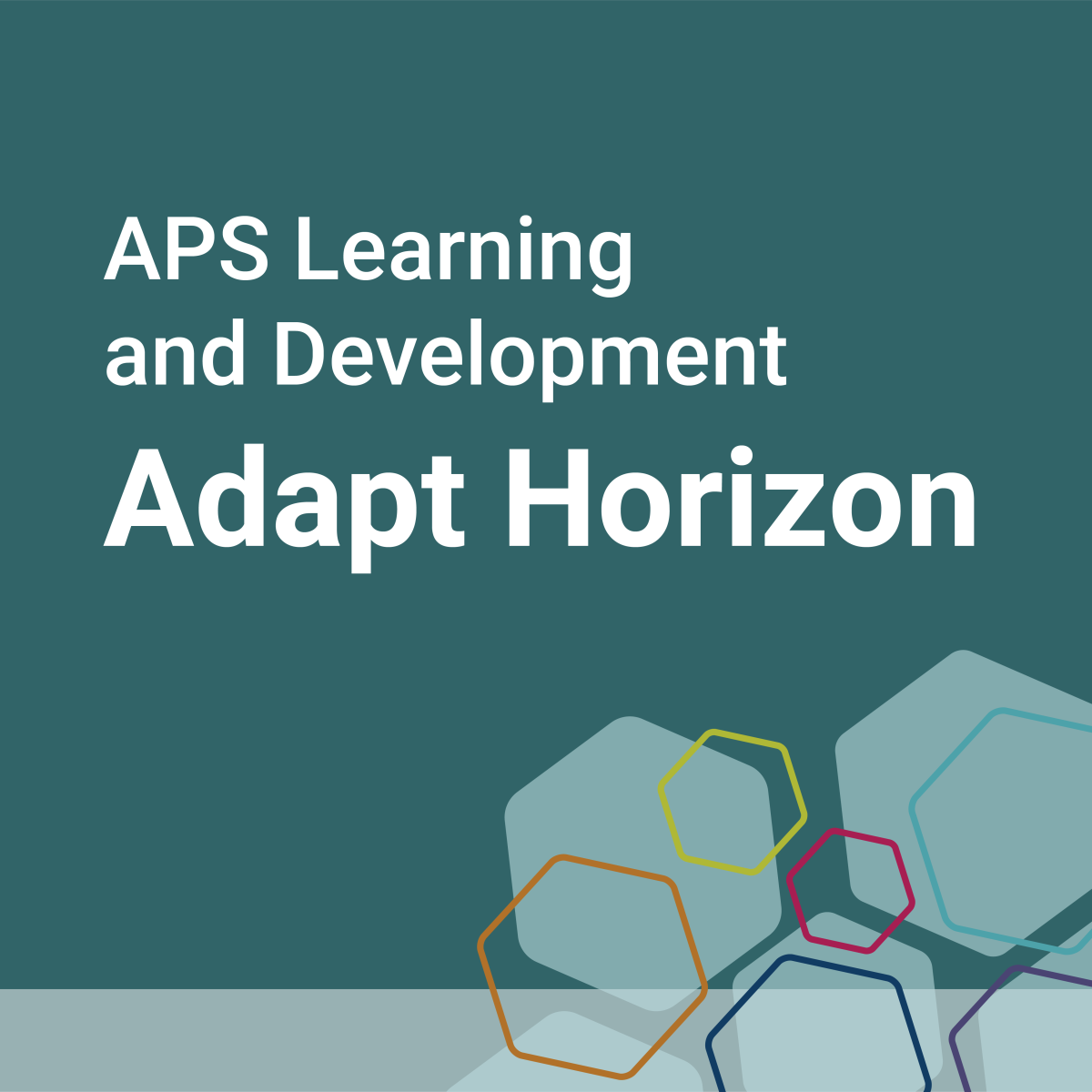 From Strategy to Action: Strengthening APS Leadership | Australian ...