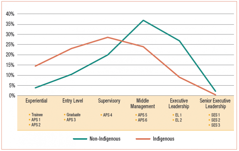 Commonwealth Aboriginal and Torres Strait Islander Workforce Strategy ...
